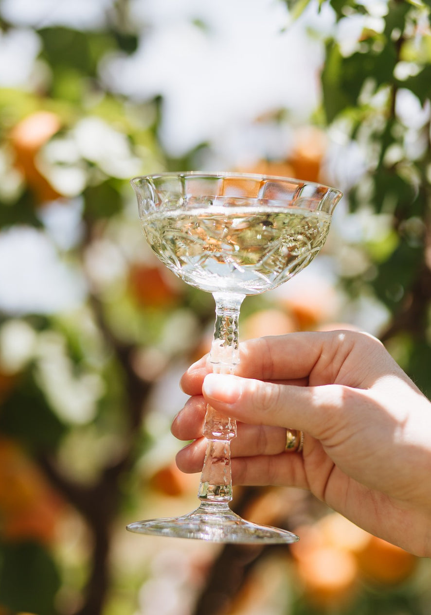 Wine – ONEHOPE Wine