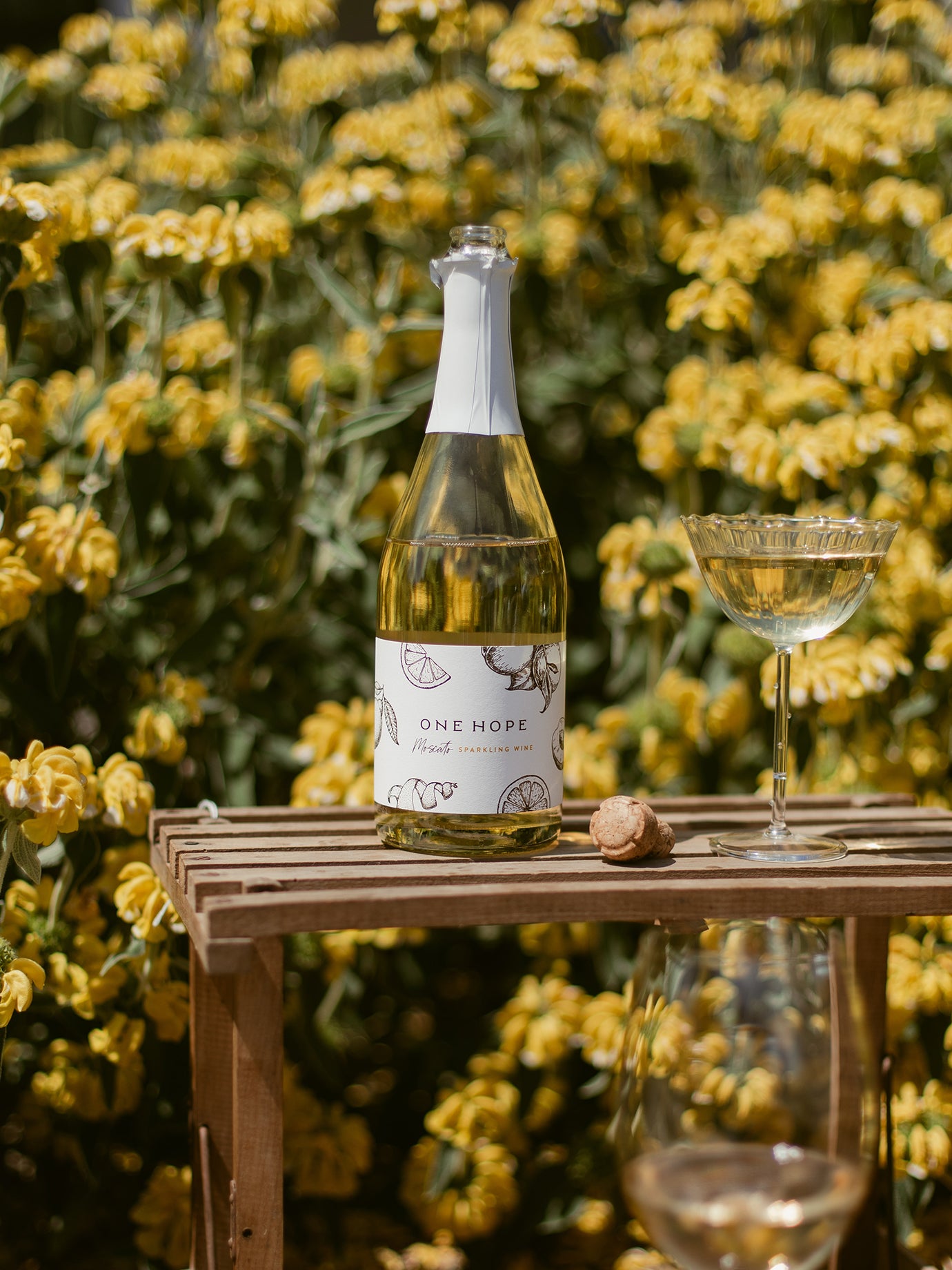 Sparkling Moscato – ONEHOPE Wine